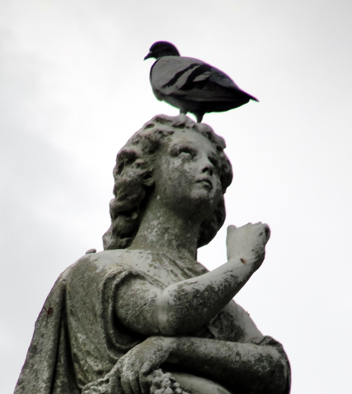 Bender Tales – Bender Tales