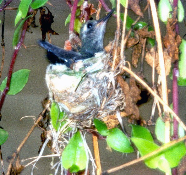 One Day in September – Bender Tales